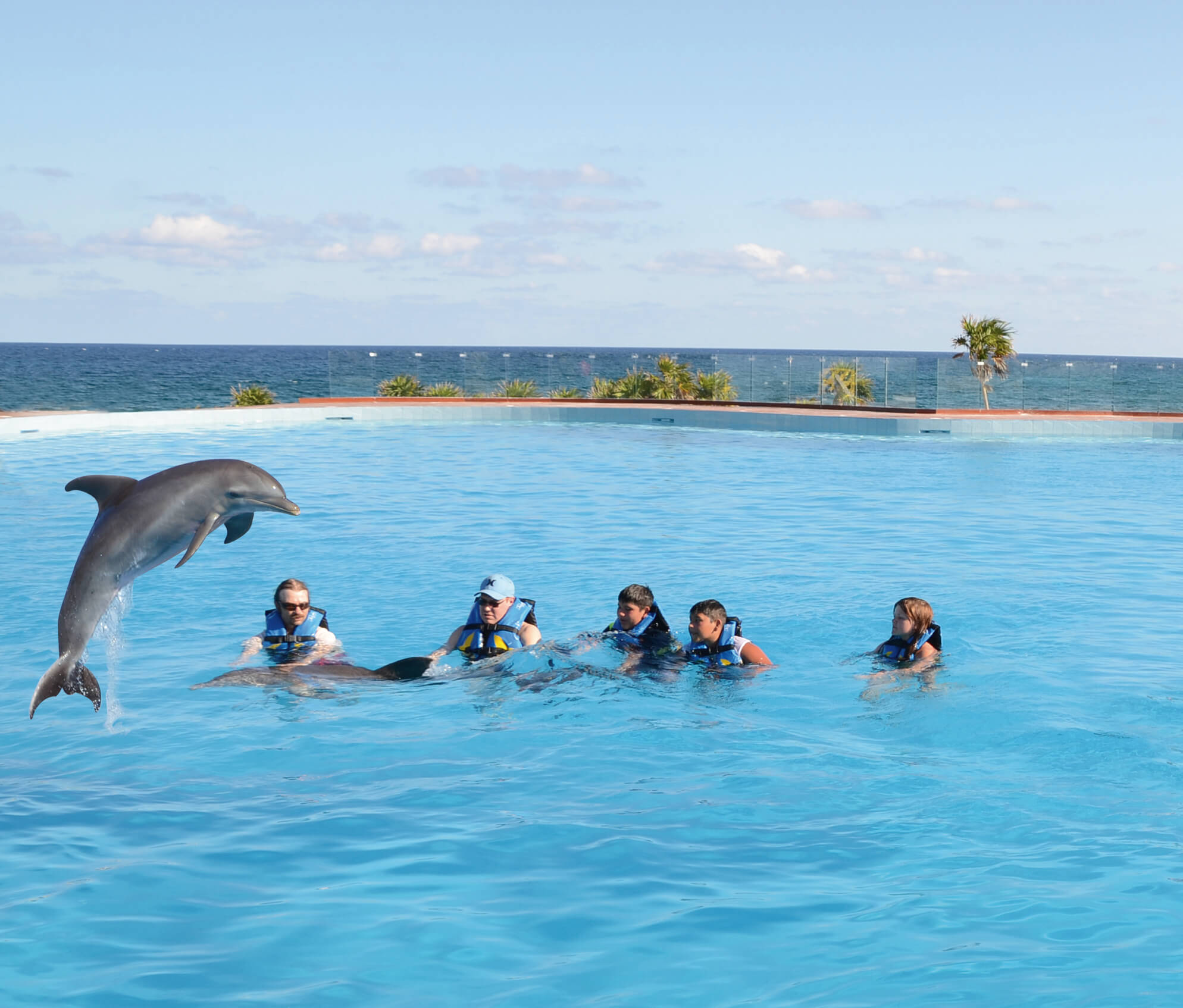 Dolphin Encounter Tulum-Akumal